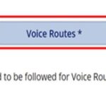 Voice Routing and Voice Routes (Direct Routing) – NHSmail Support