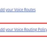 Voice Routing and Voice Routes (Direct Routing) – NHSmail Support
